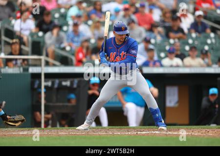 New York Mets' Hayden Senger prepares to bat during the second inning ...