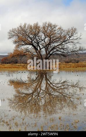 Lake at sunset, Bosque del Apache Wildlife Refuge, New Mexico Stock ...