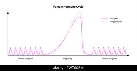 Pregnancy Hormone Cycle Chart Day By Day Progesterone Levels After