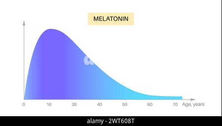 Melatonin dependence on age in the human body, illustration. Melatonin ...