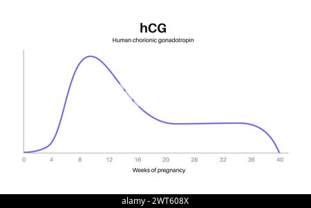 Human chorionic gonadotropin (hCG) level rising. Detection of HCG in ...