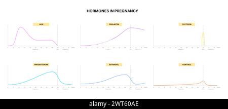 Human chorionic gonadotropin (hCG) level during pregnancy, illustration ...
