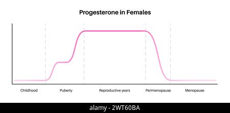 Female progesterone hormone lifecycle, illustration. Progesterone ...