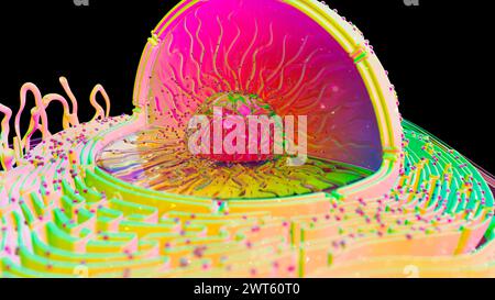 Components of Eukaryotic cell, nucleus and organelles and plasma ...