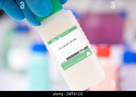 Azospirillum bacteria A nitrogen-fixing bacteria used in agricultural ...