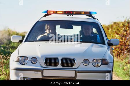 Policeman, dog and car in field to search at crime scene or robbery for ...