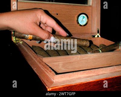 the smoking of cigars, cause of drug and nicotine addiction smoking of ...