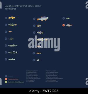 A vector flat fishes set - numbered list of recently extinct fishes on ...