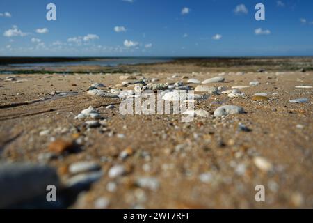 Beachside pebble on the sand, Atlantic Ocean Stock Photo - Alamy