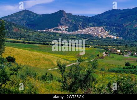 Moulay Idris, burial place of Idris I, founder of the first Arab-Muslim ...