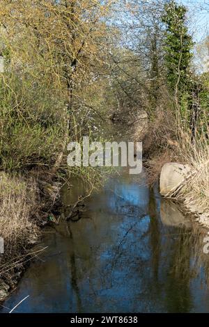 Rheinniederungskanal auf der Gemarkung von Hügelsheim Stock Photo - Alamy