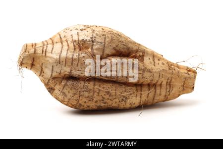 Root of kudzu vine,puerarin Isolated on a white background Stock Photo ...