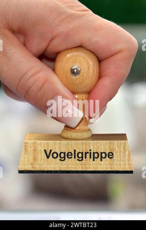 Bird Flu symbol. Concept word Bird Flu on wooden blocks. Beautiful ...