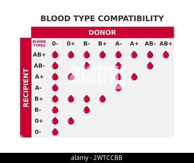 Blood Type Compatibility Table / Chart with Donor and Recipient Groups ...