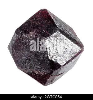 specimen of natural raw rhodolite pyrope crystal cutout on white ...