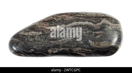 specimen of natural tumbled phyllite rock cutout on white background ...