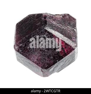 specimen of natural raw rhodolite crystal cutout on white background ...