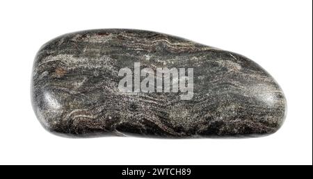 specimen of natural tumbled phyllite mineral cutout on white background ...