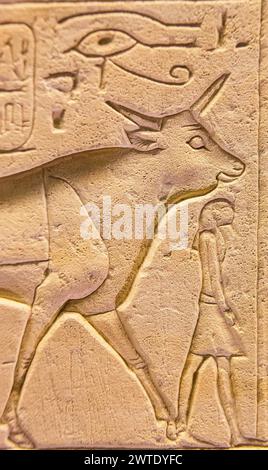 Egypt, Saqqara, Serapeum, detail of an Apis bull stele Stock Photo - Alamy
