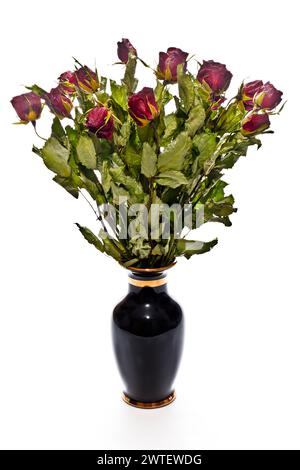Dried red roses in a bouquet with baby's breath Stock Photo - Alamy