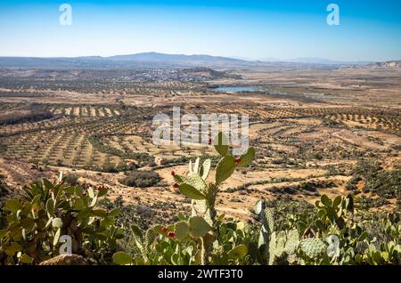 A panorama looking northwest from the Berber Takrouna village across ...