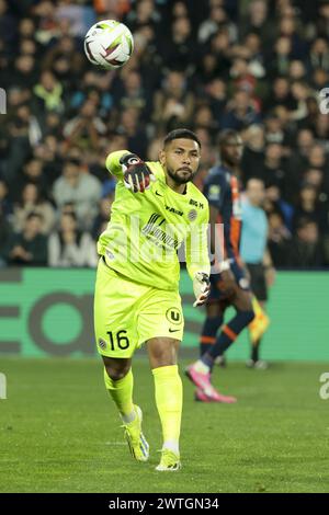 Montpellier goalkeeper Dimitry Bertaud during the French championship ...