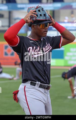Port St Lucie, FL: Washington Nationals designated hitter T.J. White ...