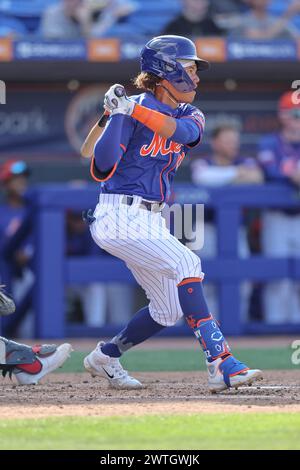 St. Lucie Mets Jeremy Rodriguez (15) looks on during an MiLB Florida ...