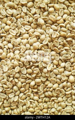 Top view of pile of parchment coffee beans Stock Photo - Alamy
