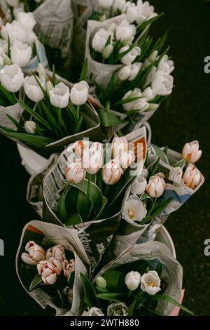 Tulips wrapped in newspaper Stock Photo - Alamy
