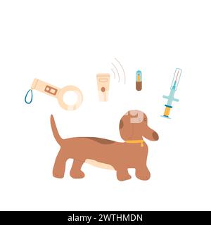 Microchip pets service. Scanner, chip and cat in soft carrier isolated ...