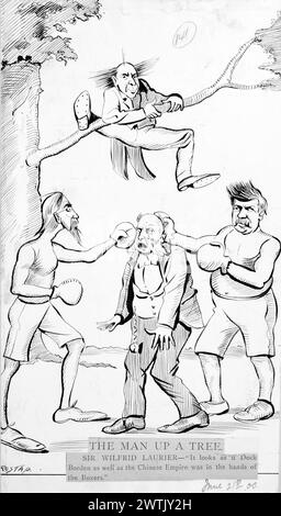 Cartoon - Up a Tree Rostap (1866-1949 Stock Photo - Alamy