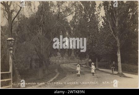 Waitahuna Road, Hospital Corner, Lawrence, Muir & Moodie studio, 1904 ...