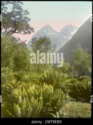 In the Greenstone Valley near Lake McKellar, Spurs of the Humboldt ...