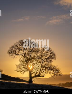 Aberfoyle, a Scottish Golf Course Stock Photo - Alamy