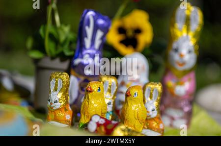 Easter decoration, chicks, garden, Germany Stock Photo - Alamy