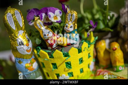 Easter decoration, chicks, garden, Germany Stock Photo - Alamy