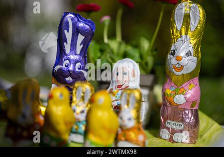 Easter decoration, chicks, garden, Germany Stock Photo - Alamy