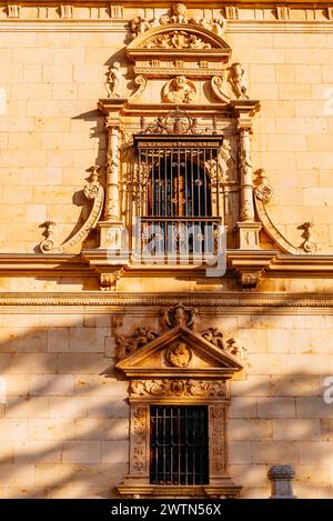 Window and allegorical figures. Detail plateresque facade. Colegio ...