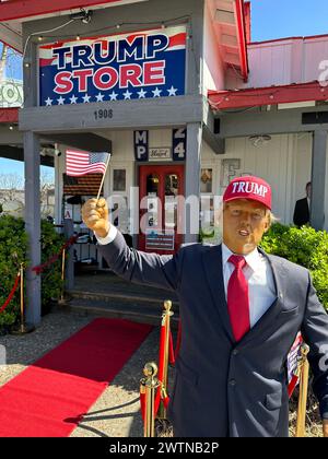 Branson, Missouri - March 11: Donald Trump Store Stock Photo - Alamy