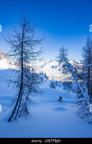 Carnic alps after a big snowfall. Udine province, Friuli-Venezia Giulia ...