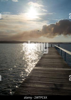 Smoke from a distant fire as a bird is flying across the water from ...