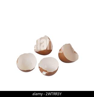 Egg shells on a transparent background Stock Photo - Alamy