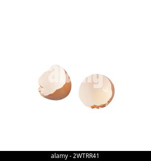 Egg shells on a transparent background Stock Photo - Alamy