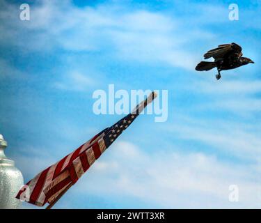 Taking off over the flag Stock Photo - Alamy