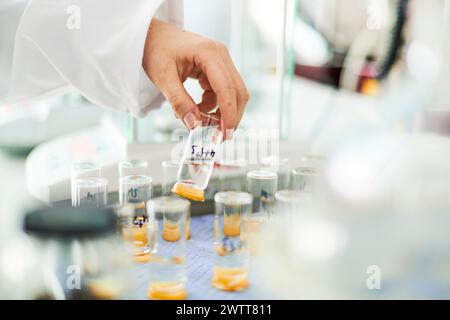 Labratory scientist extracting dna and biological material for testing ...