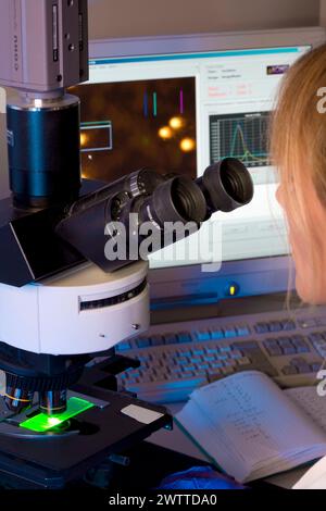 Scientist examining samples under microscope, molecular structure image ...