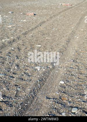 Rut in the sand. Tracks from car wheels on the beach. Sand and stones ...