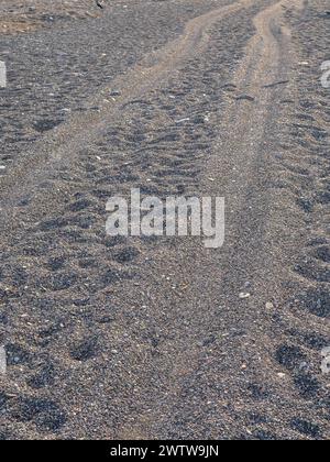 Rut in the sand. Tracks from car wheels on the beach. Sand and stones ...