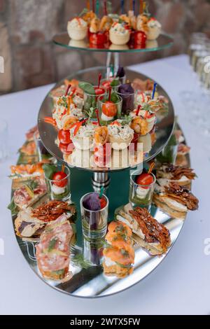 a Luxurious catering service, exquisite snacks. Exclusive buffet with ...